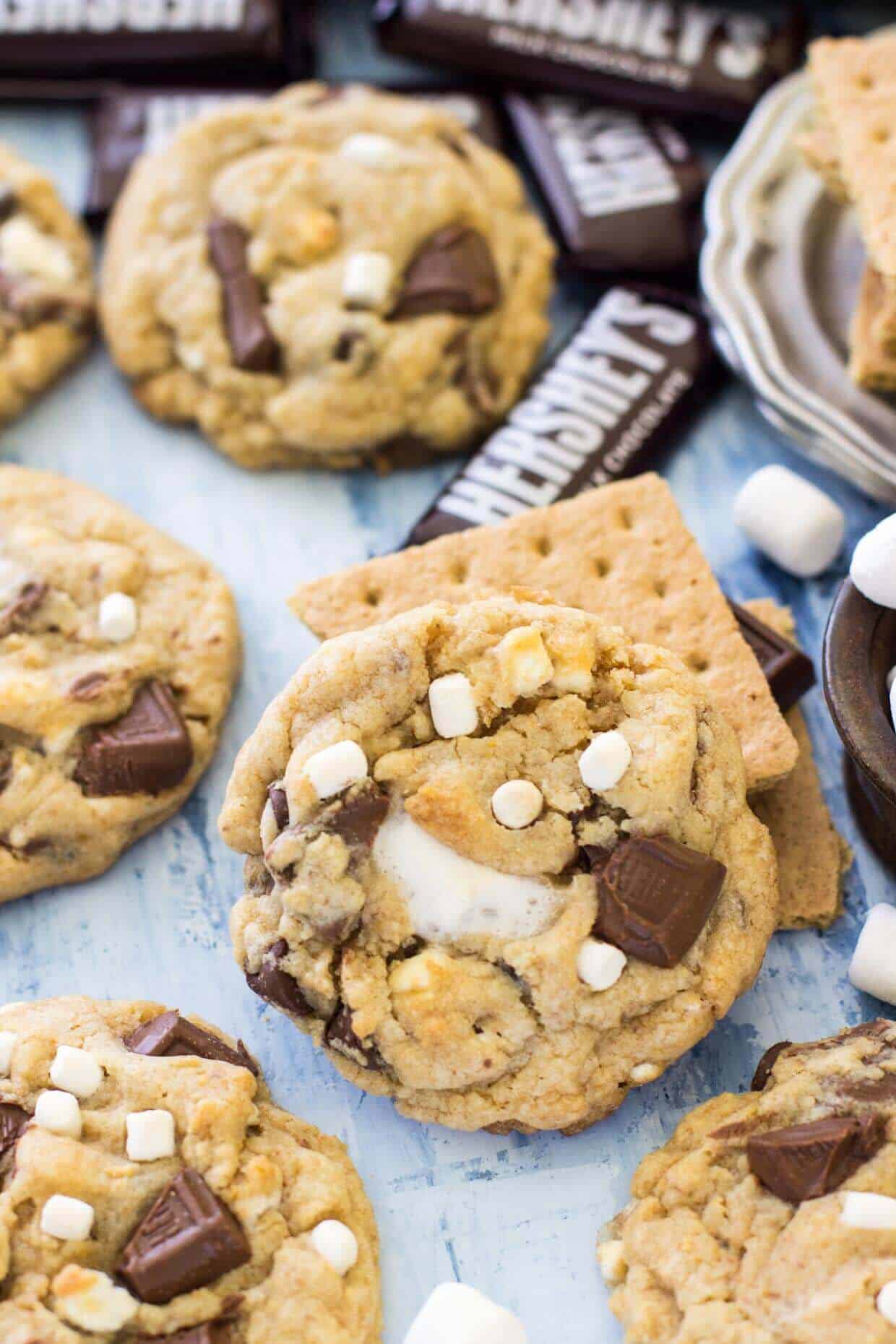 Galletas S'mores | Reef Recovery
