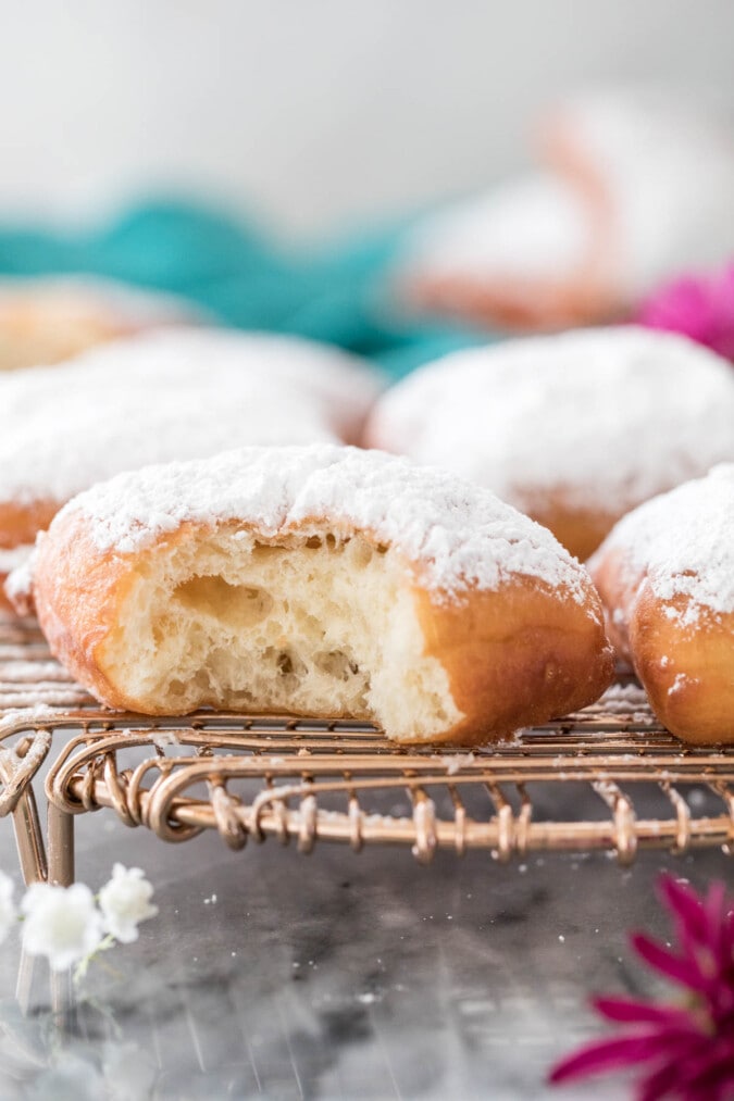 Beignets - Sugar Spun Run