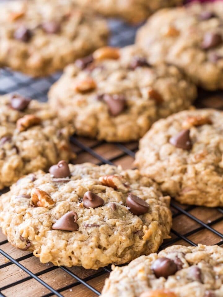 Cookies - Sugar Spun Run