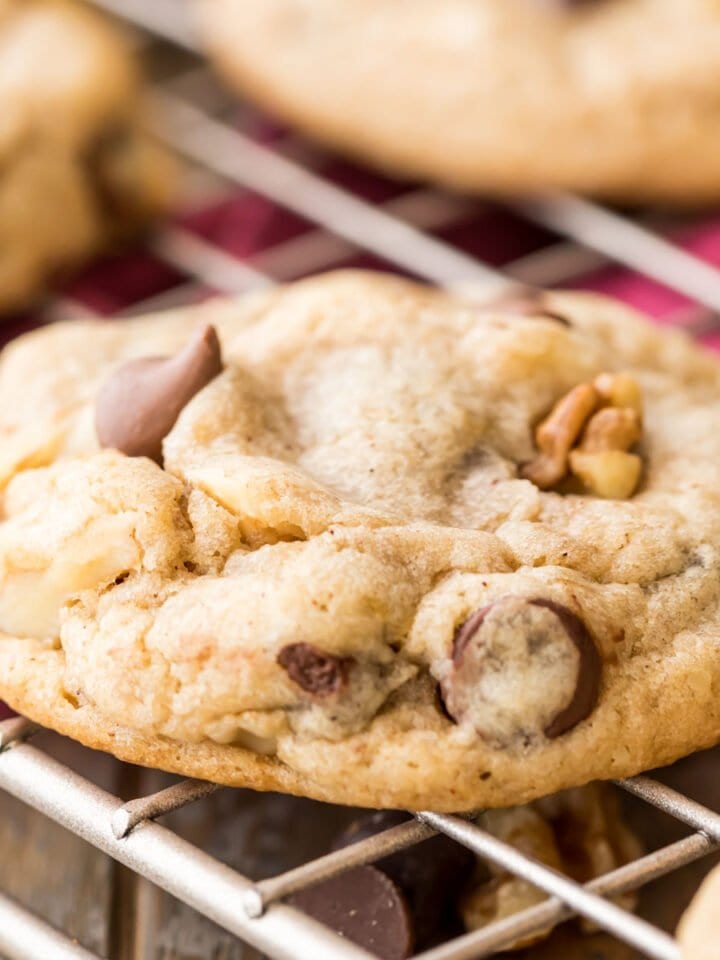 Cookies - Sugar Spun Run