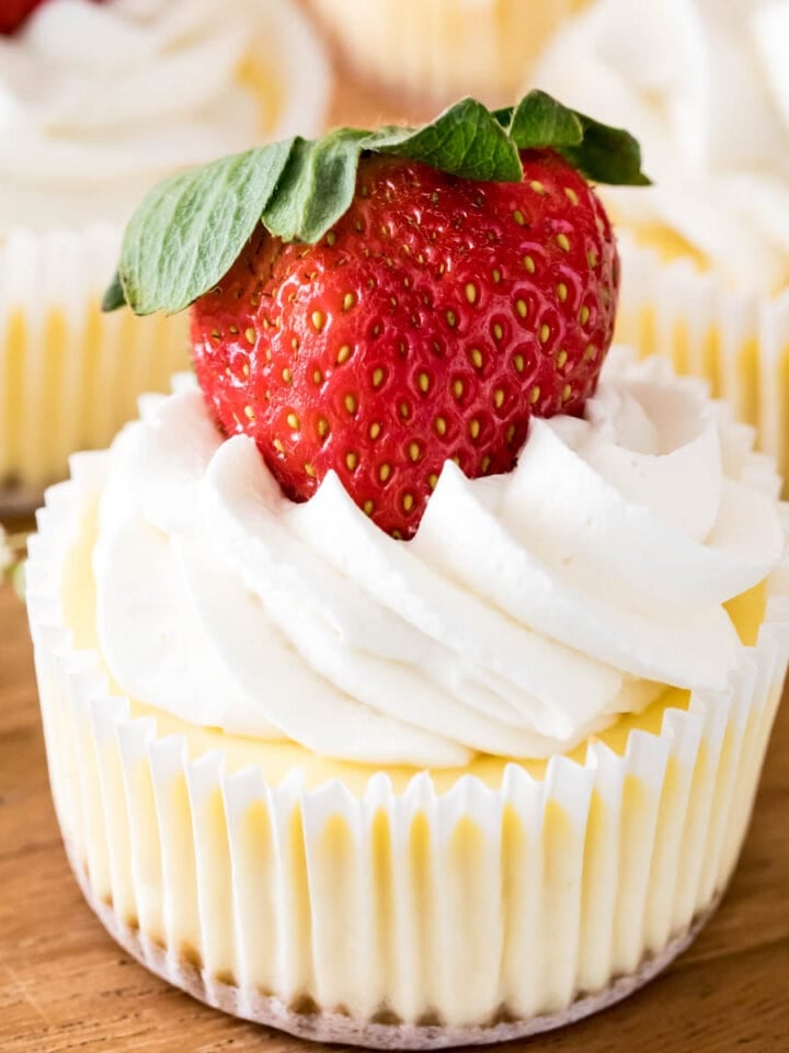 Recipes - Sugar Spun Run