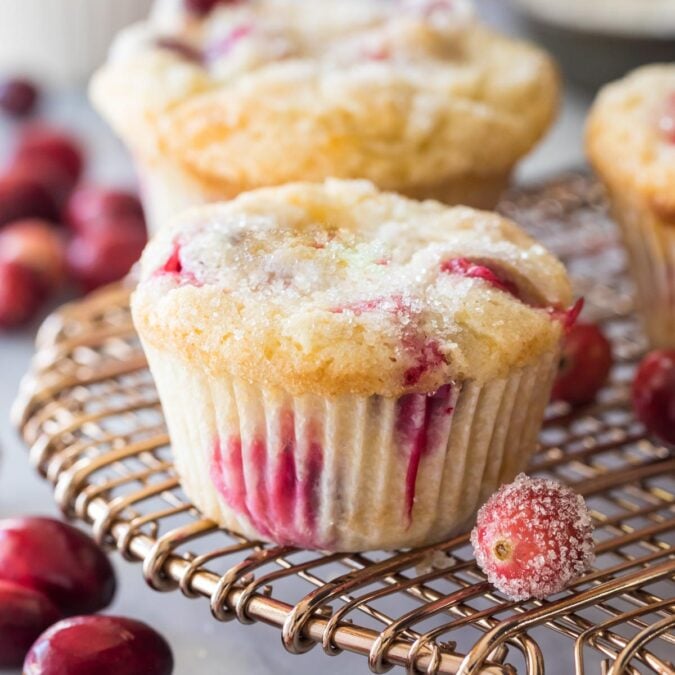 Cranberry Muffins - Sugar Spun Run