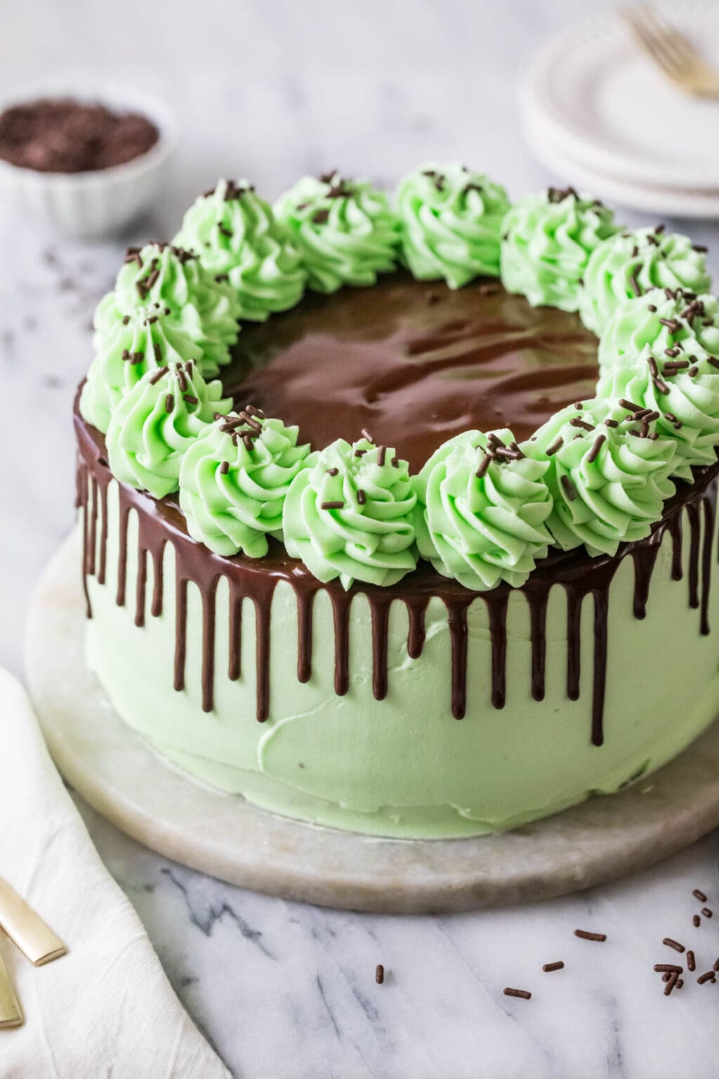 Mint Chocolate Cake - Sugar Spun Run