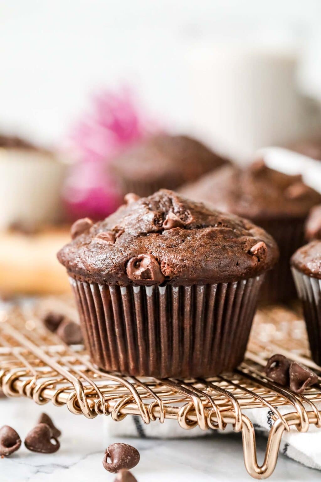 Chocolate Banana Muffins - Sugar Spun Run